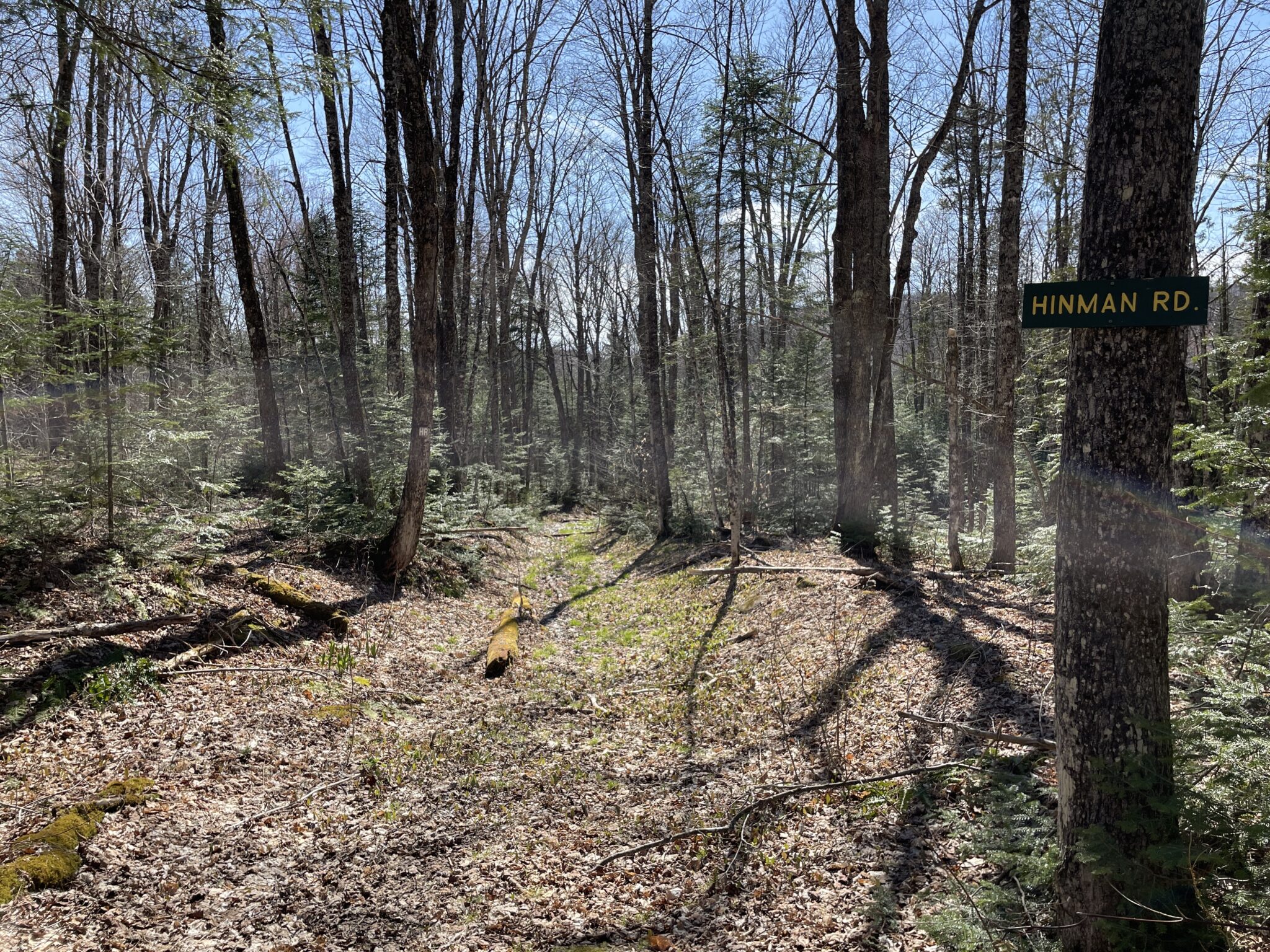 Explore Glover Hike Series: Hinman Road to Skunk Hollow – Glover Trails